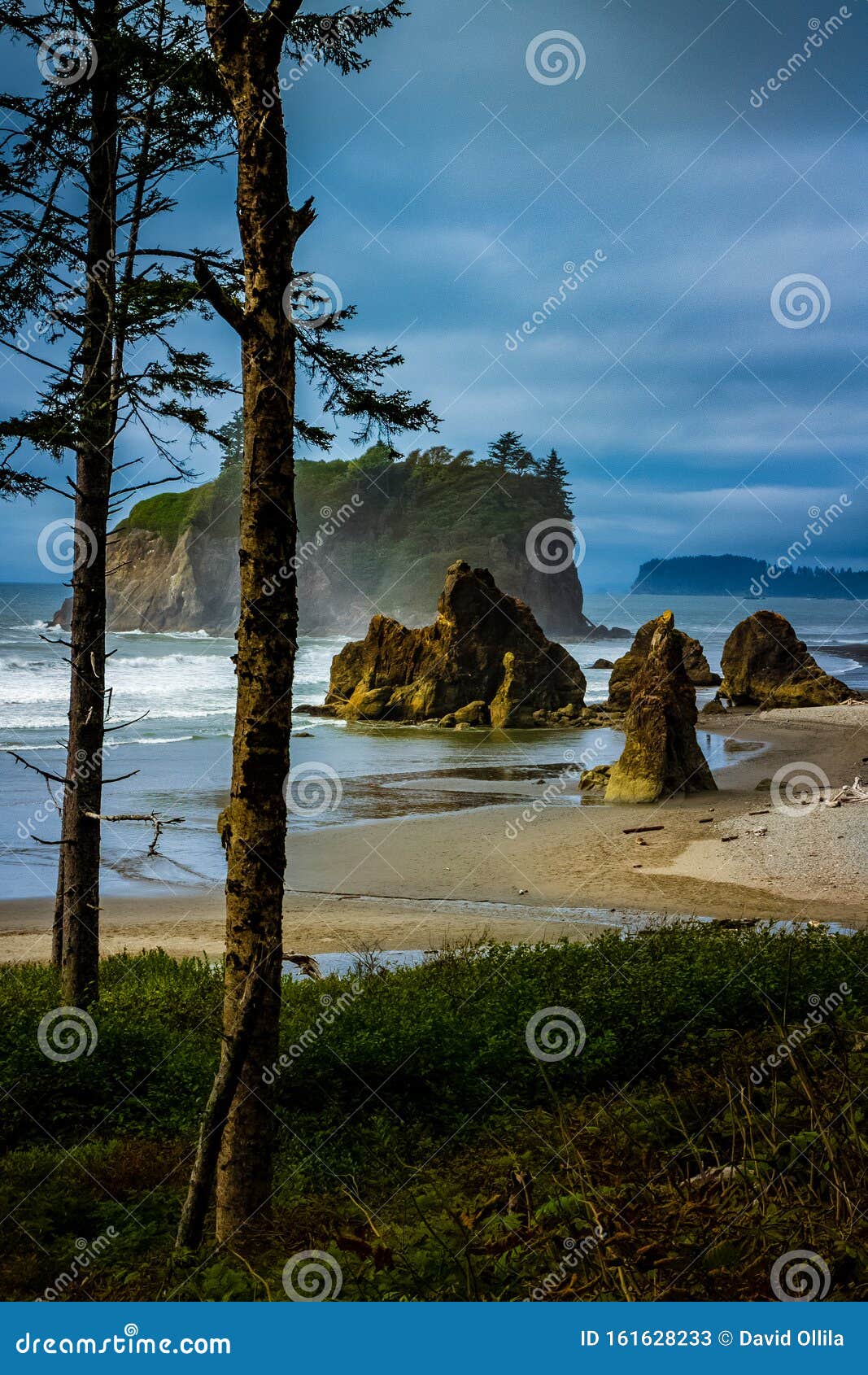Ruby Beach, Olympic National Park, WA Stock Image - Image of coast ...