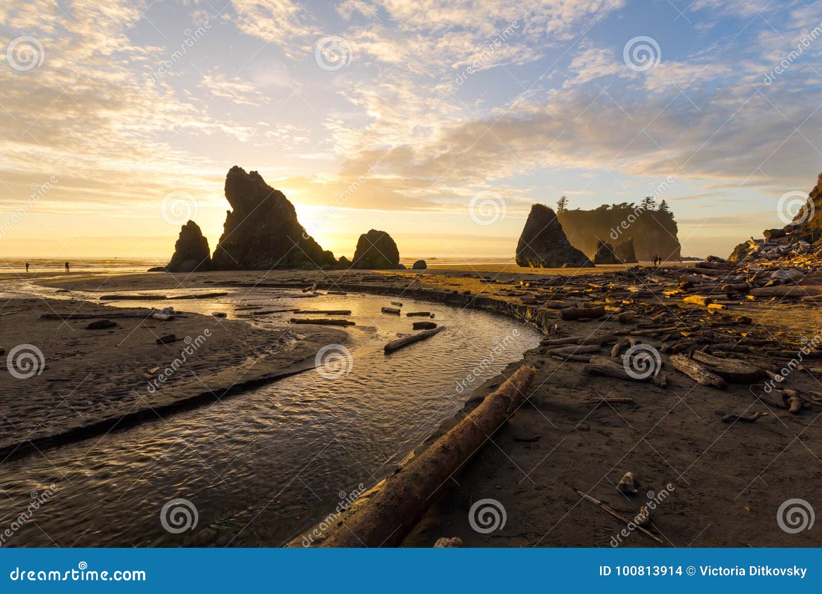 Beautiful Ruby beach stock photo. Image of destination - 100813914