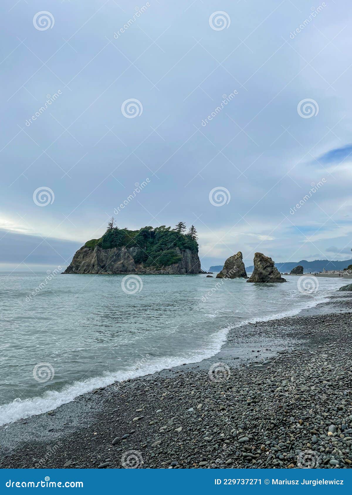 Ruby Beach stock image. Image of park, sand, rocky, rock - 229737271
