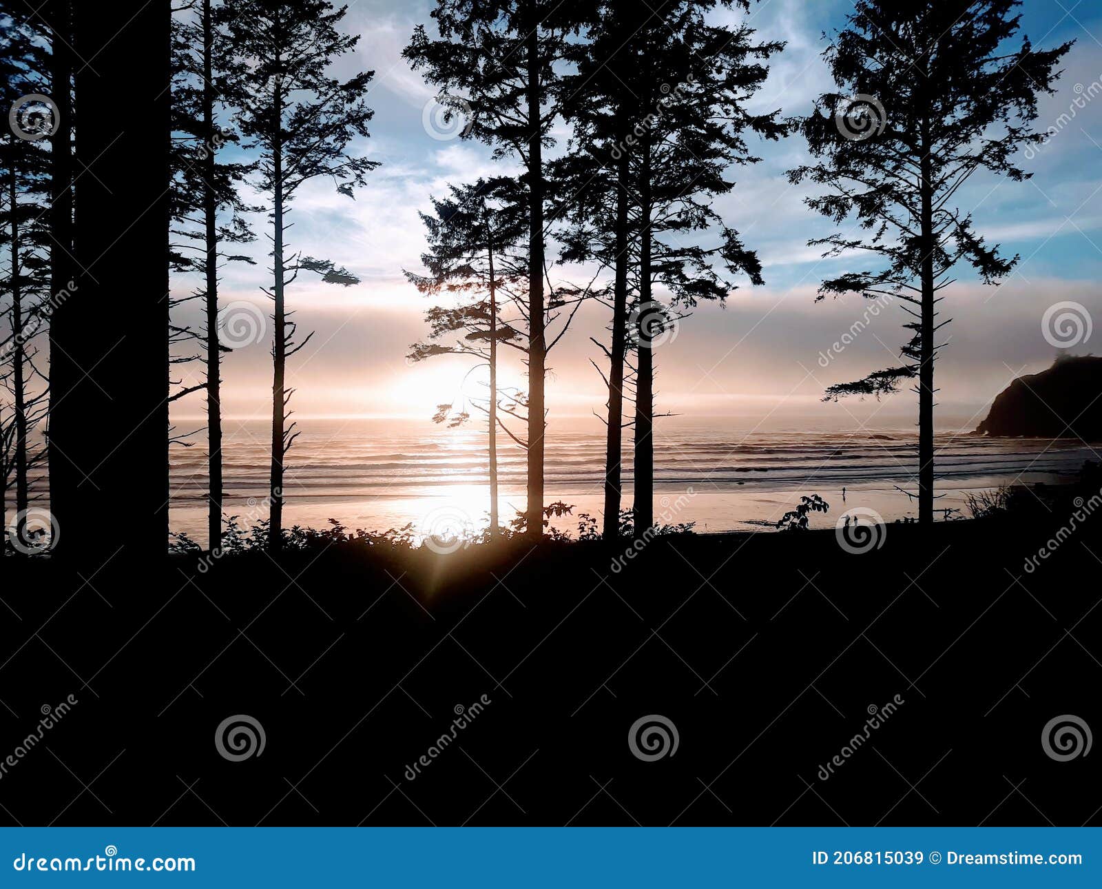 Ruby Beach Sunsets stock image. Image of sunrise, tree - 206815039
