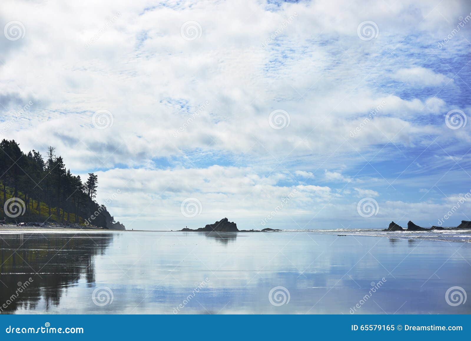 Ruby Beach, Washington stock image. Image of beach, reflection - 65579165