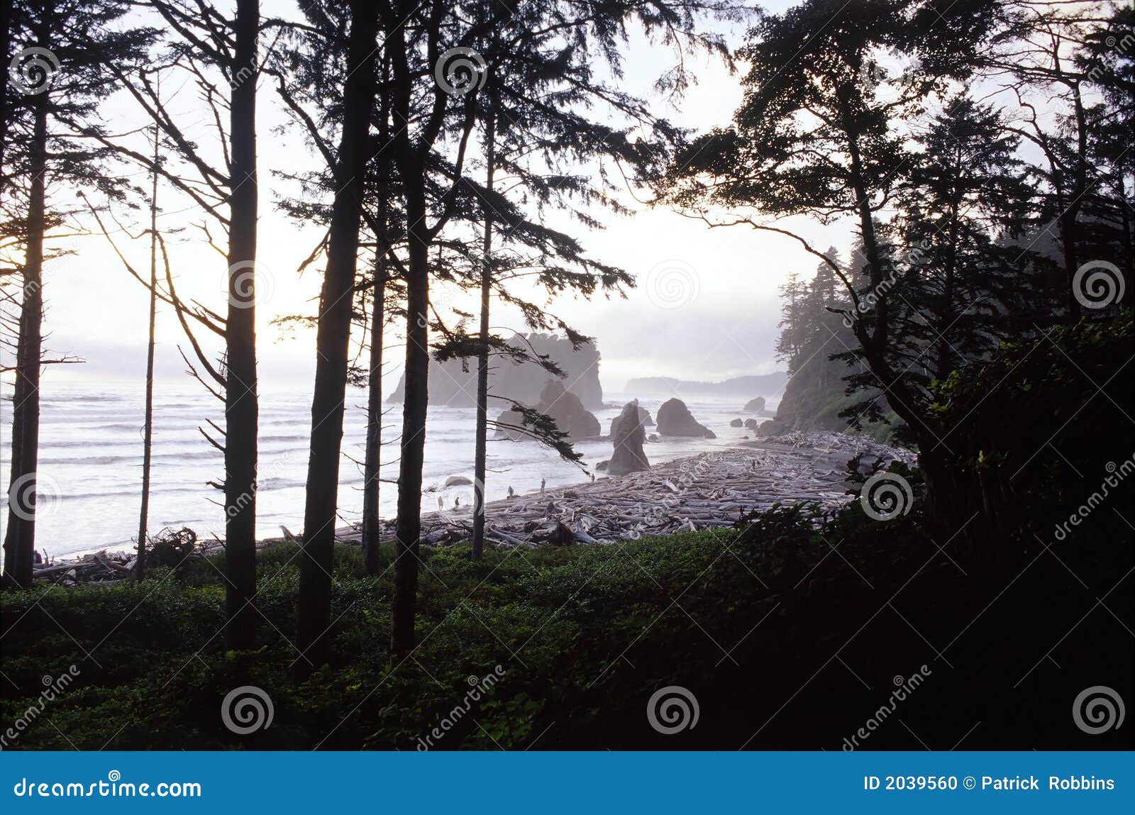Ruby Beach, Washington, USA Stock Photo - Image of beach, perspective ...