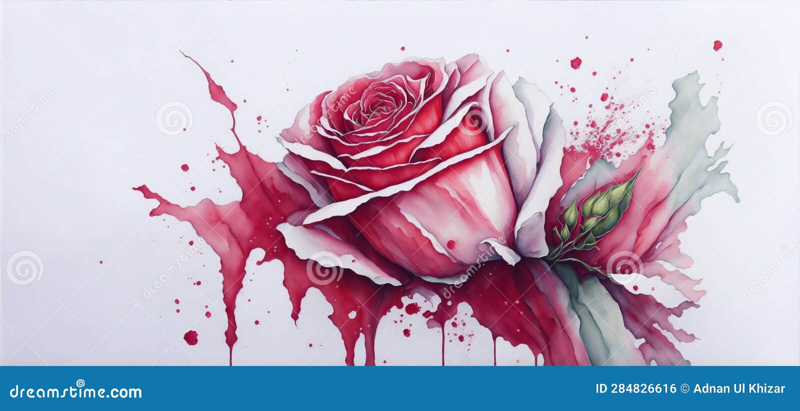 Ruby Blossom- a Captivating Watercolor Painting of a Red Rose Stock ...