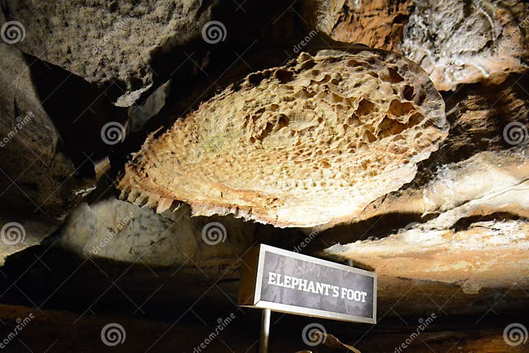 Ruby Falls cave editorial image. Image of miracle, elephant - 275772795