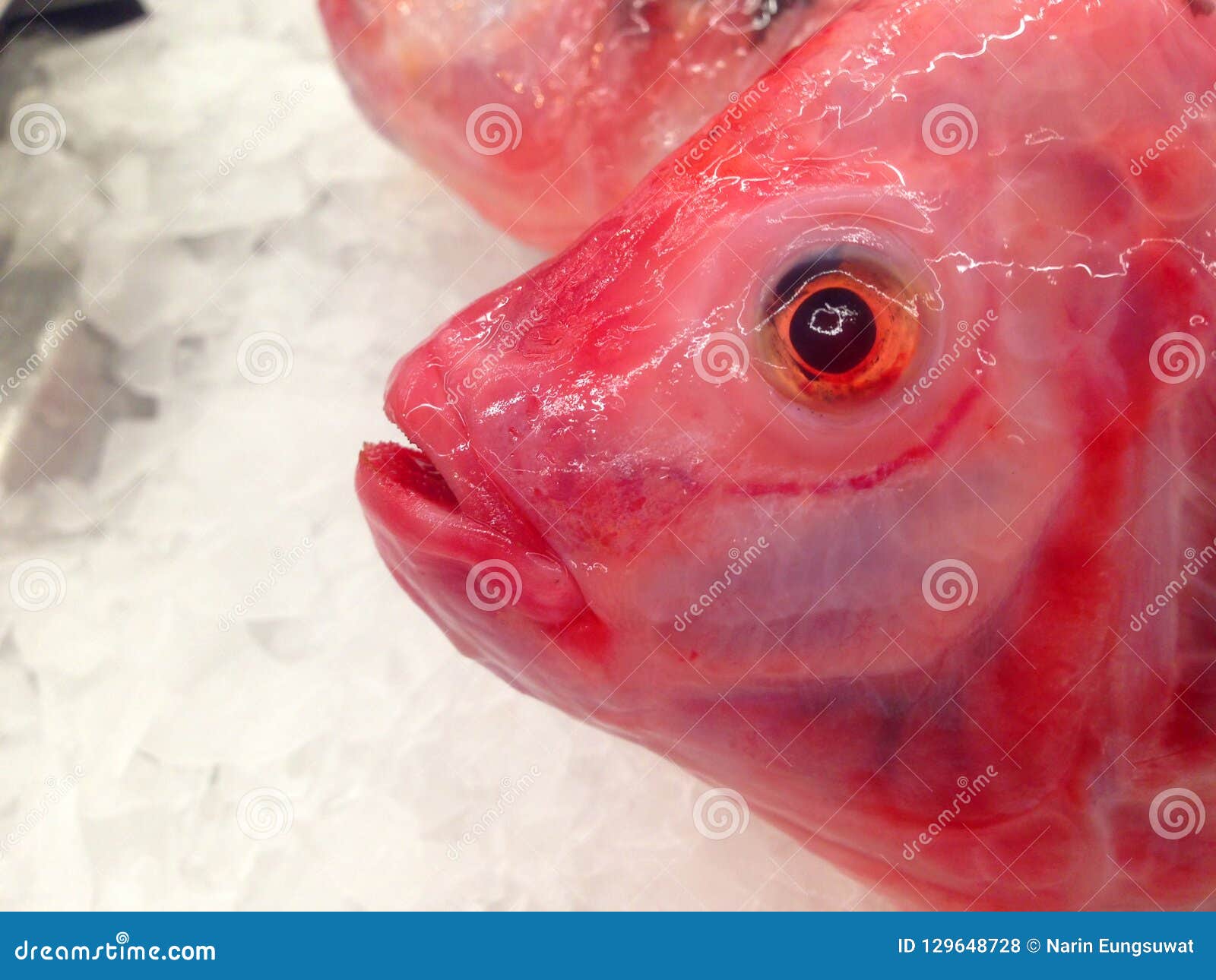 Ruby Fish in the market. stock photo. Image of head - 129648728