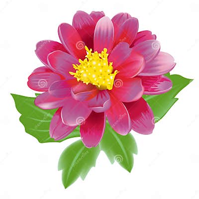 Ruby Flower stock vector. Illustration of bloom, pink - 1754610