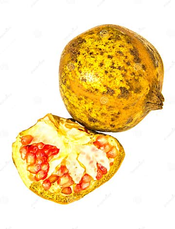 Ruby fruit stock image. Image of nature, fruit, healthy - 33361187