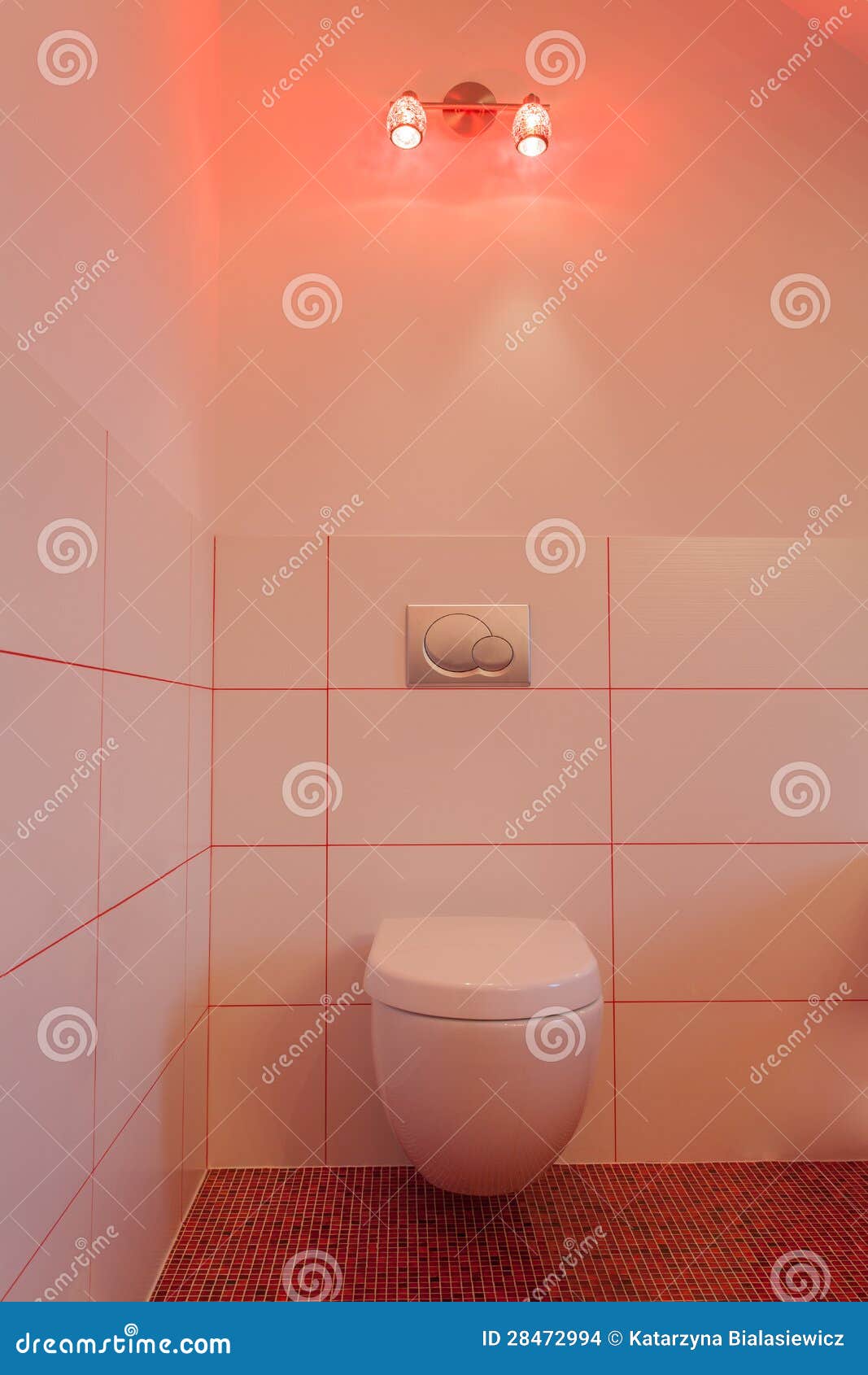 Ruby house - Toilet stock photo. Image of architecture - 28472994