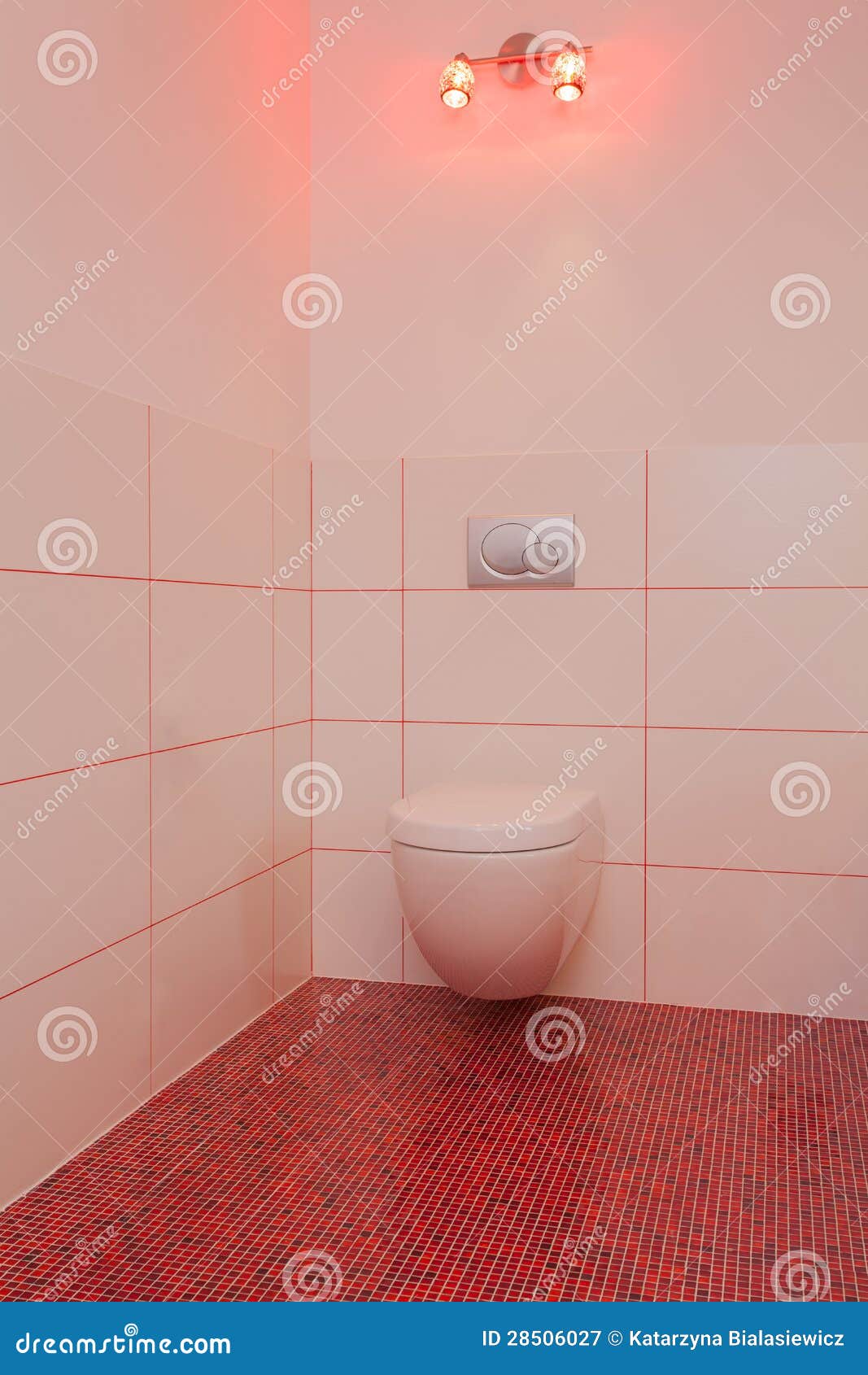 Ruby house - Wc stock image. Image of modern, property - 28506027