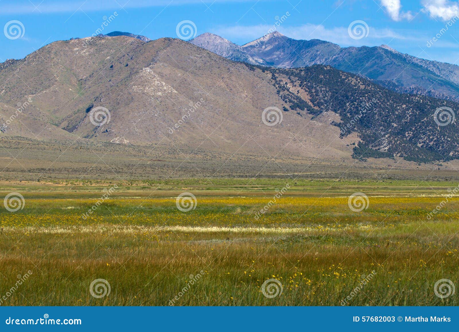 Ruby Lake National Wildlife Refuge Stock Image - Image of orange, marsh ...
