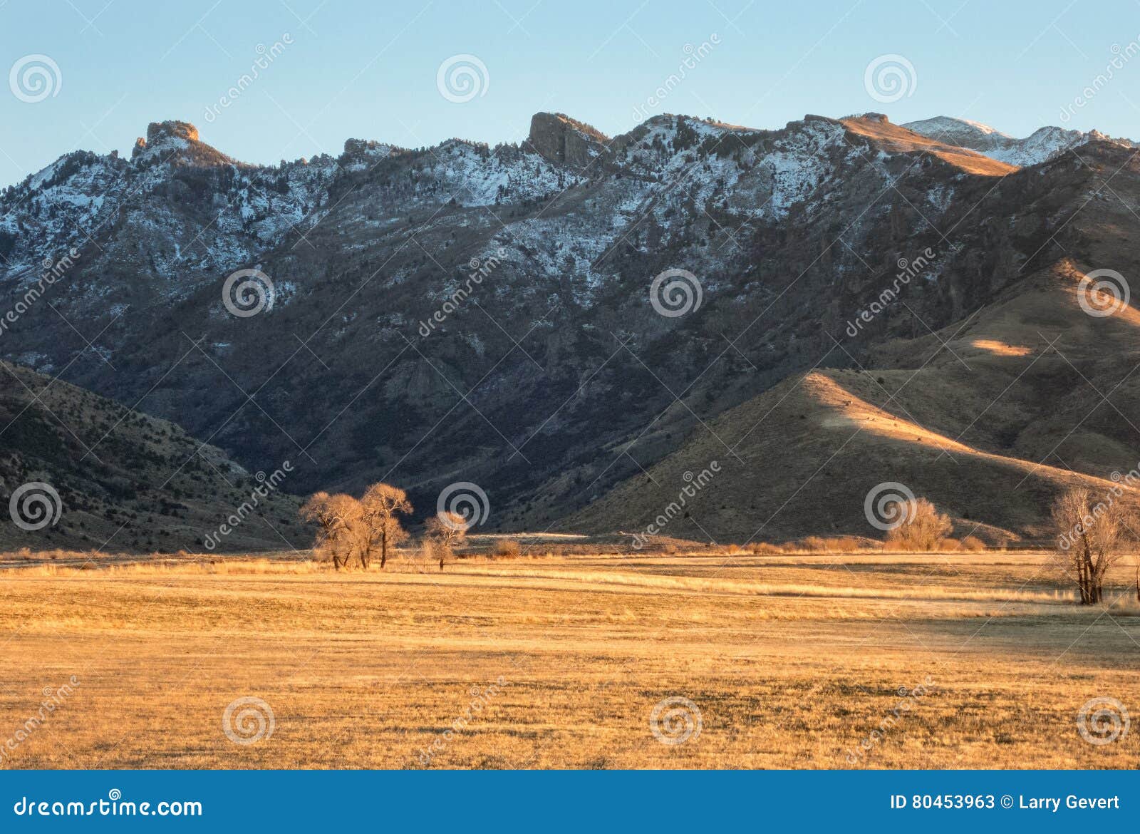 Ruby Mountains, Elko County Nevada Stock Image - Image of field, meadow ...