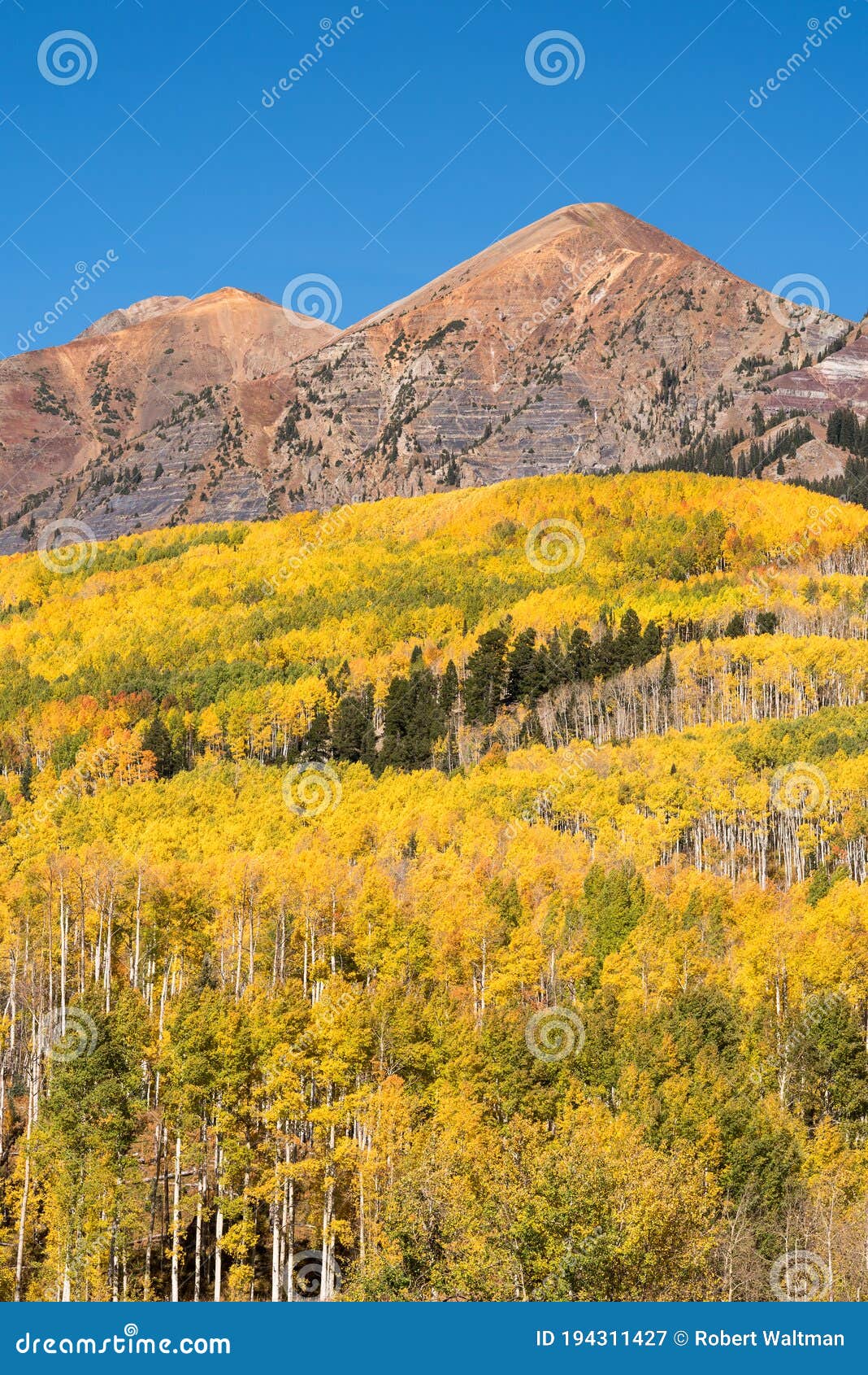 Ruby Range in the Autumn, Viewed from Kebler Pass Road. Stock Image ...