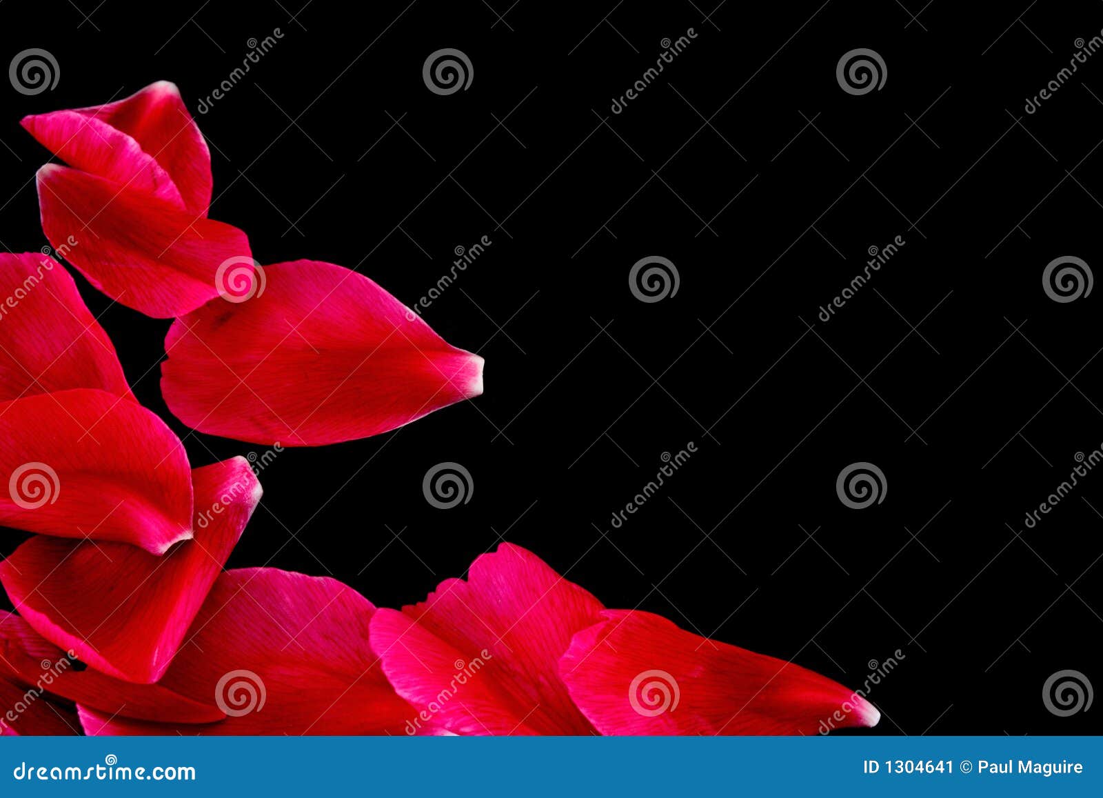 Ruby Border Wedding Stock Photos - Free & Royalty-Free Stock Photos ...