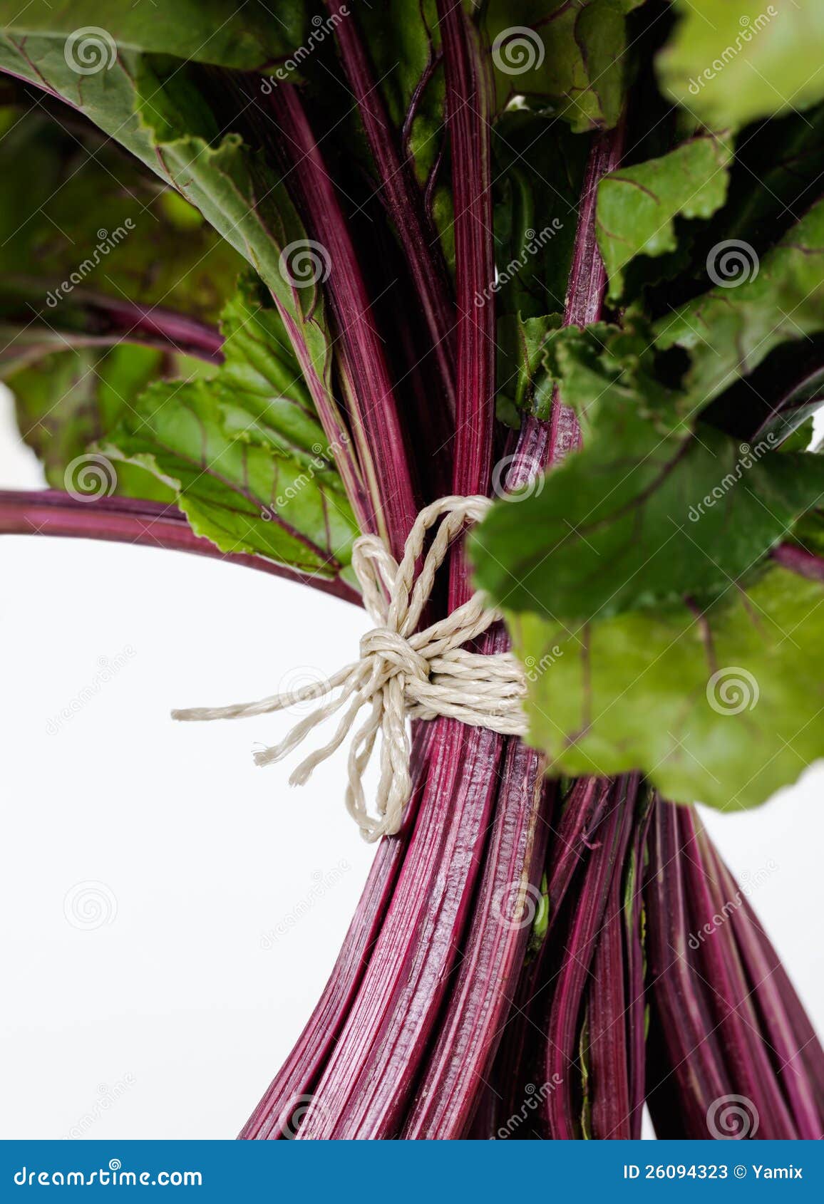 Ruby Red Chard (Beta Vulgaris) Stock Image - Image of bunch, pink: 26094323