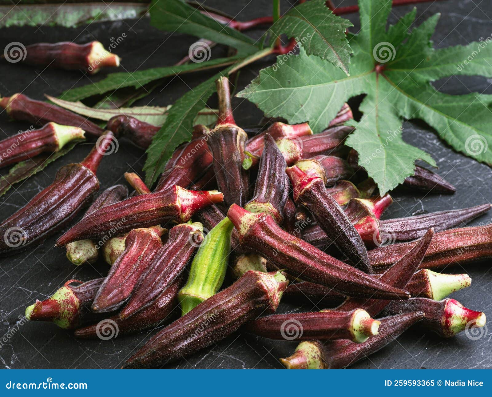 Ruby red okra stock image. Image of ladies, north, leaf - 259593365