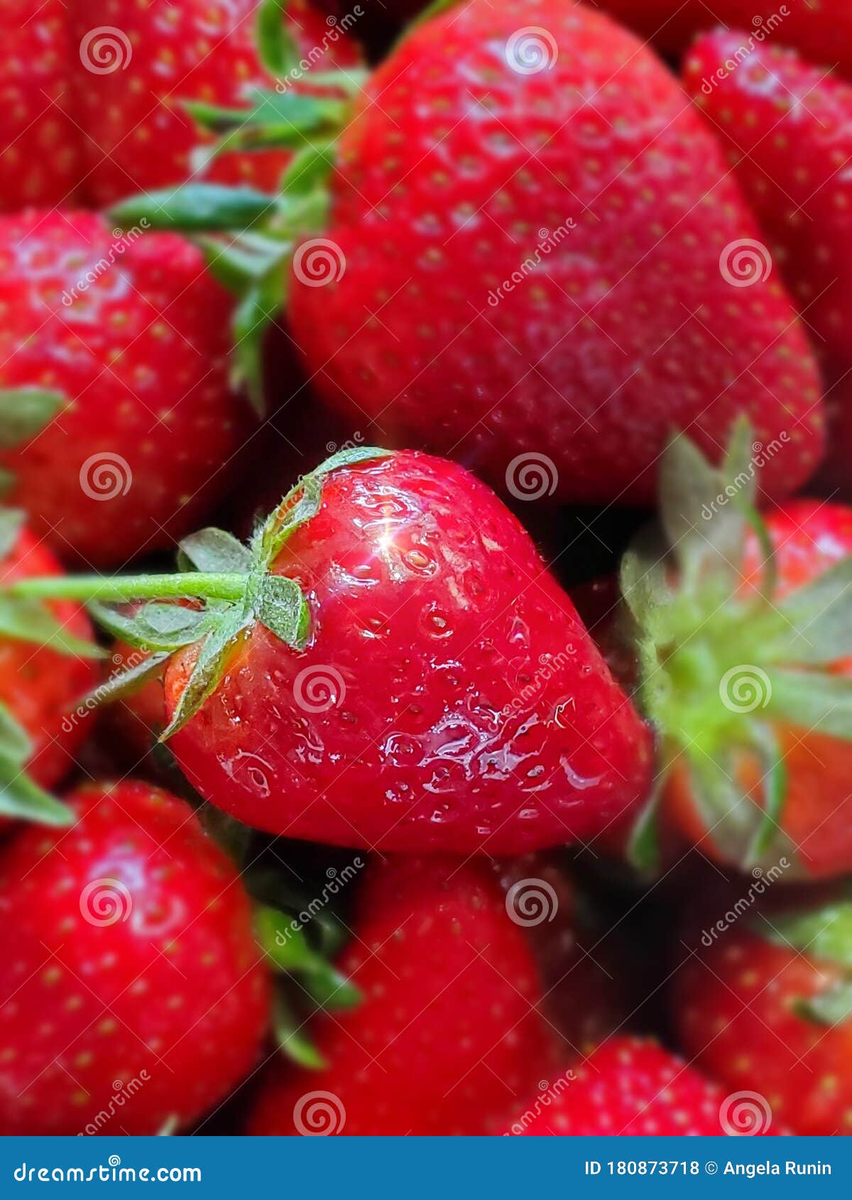 Ruby Red Strawberries stock photo. Image of flower, fruit - 180873718