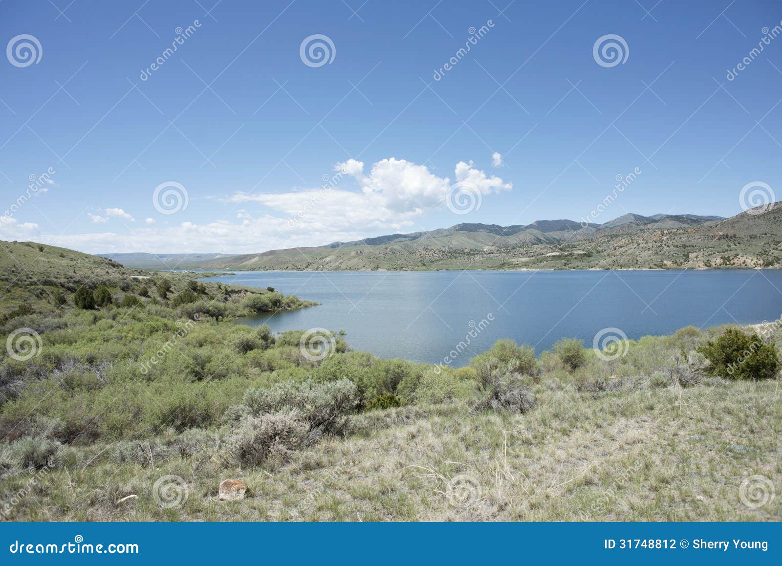 Ruby Reservoir stock photo. Image of season, forest, peaceful - 31748812
