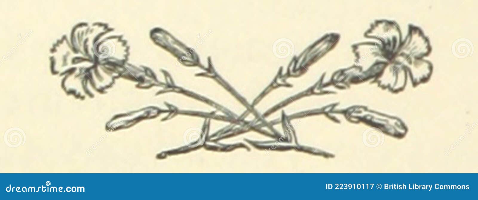 British Library Digitised Image From Page 38 Of "Ruby's Choice; Or, The Brackenhurst Girls ...