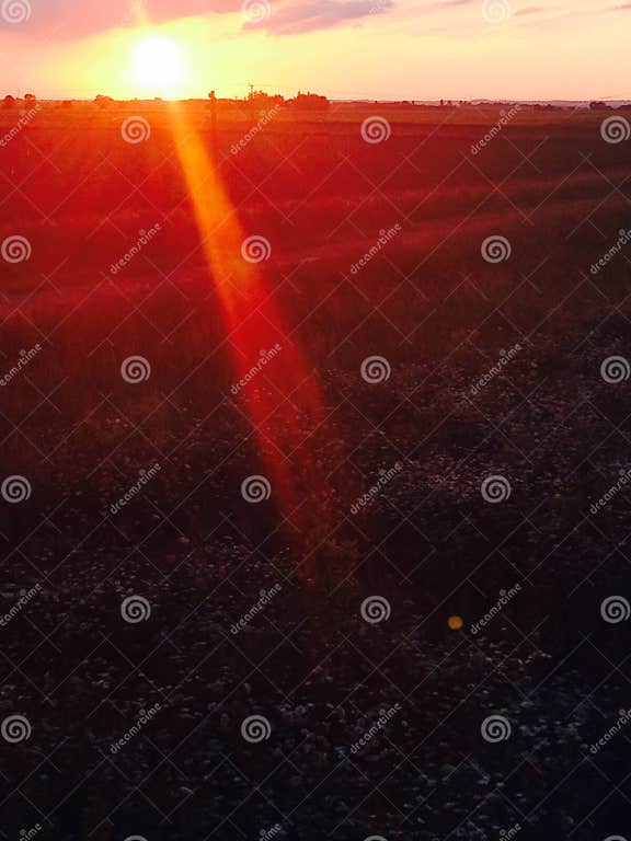 Ruby sunset stock photo. Image of sunset, field, ruby - 43277514