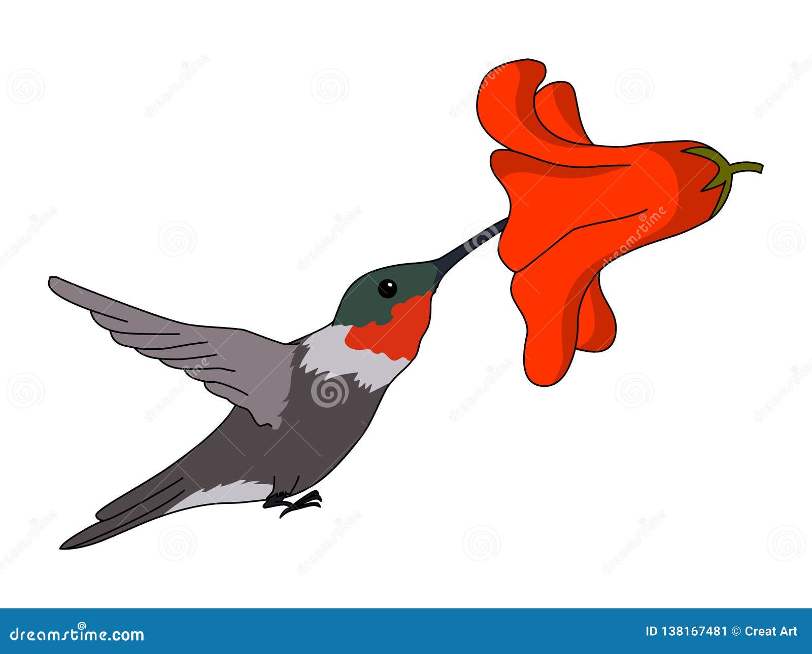 Ruby-Throated Hummingbird Illustration Vector Stock Vector ... Ruby-Throated Hummingbird Illustration Vector Stock Vector ...