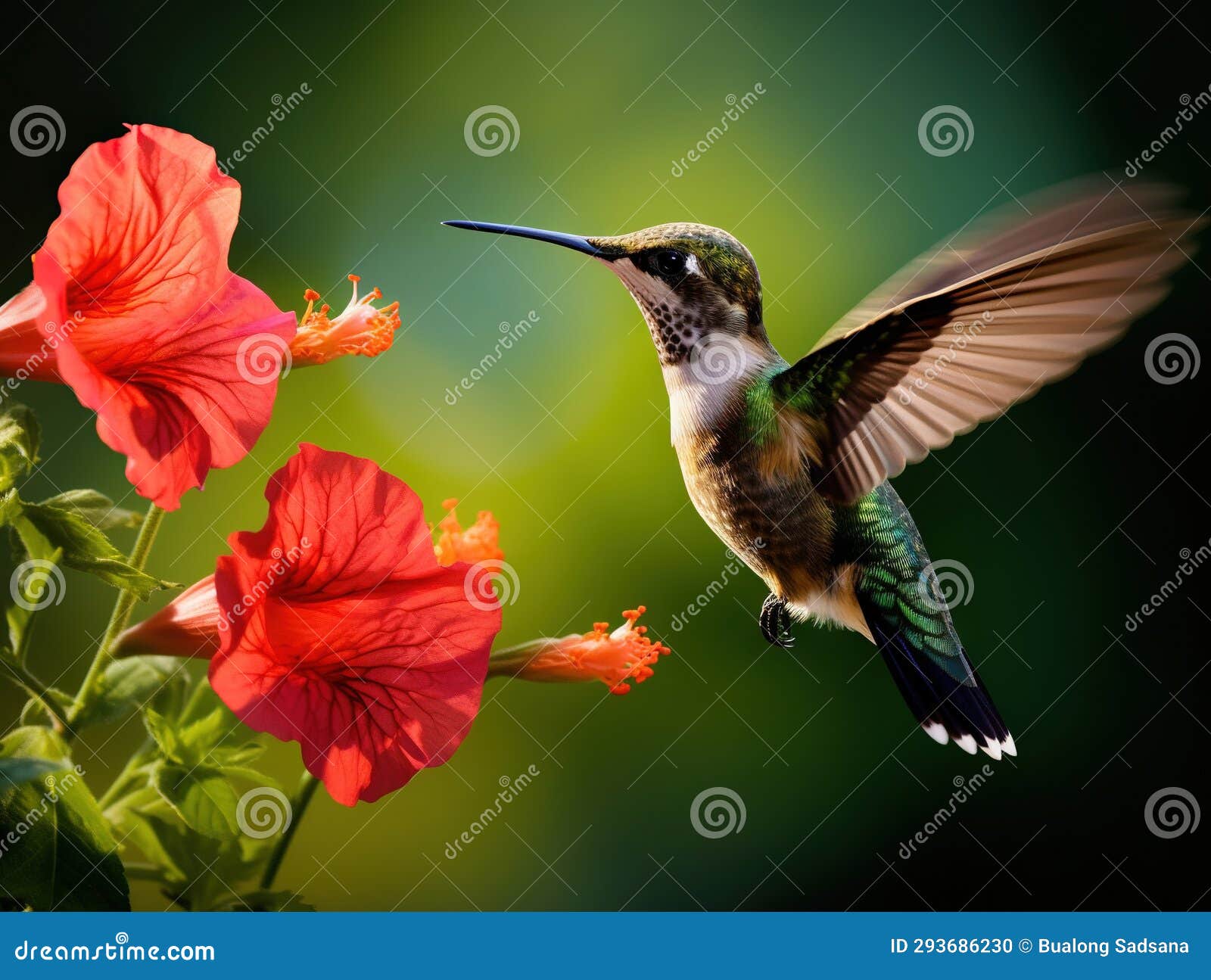 Ai Generated Illustration Wildlife Concept of Ruby-throated Hummingbird ...