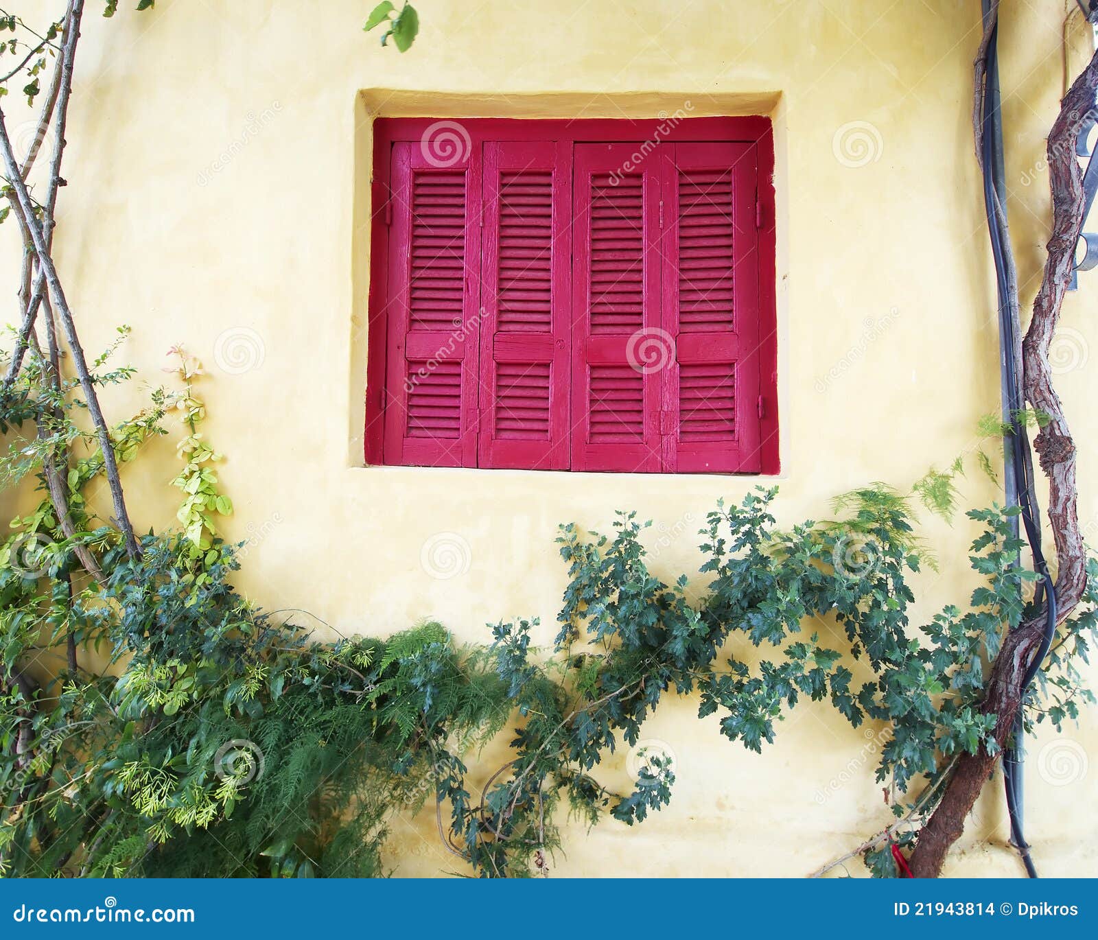 Ruby Wooden Window and Plant Stock Photo - Image of house, tourism ...
