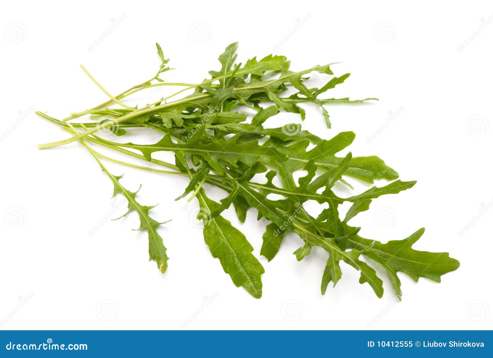 Ruccola стоковое изображение. изображение насчитывающей горизонтально ...