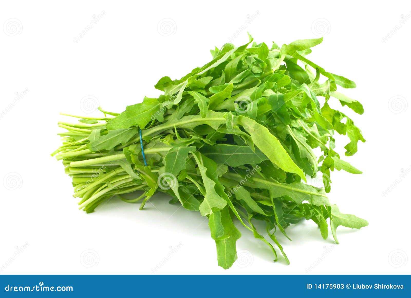Ruccola stock image. Image of herb, freshness, greens - 14175903