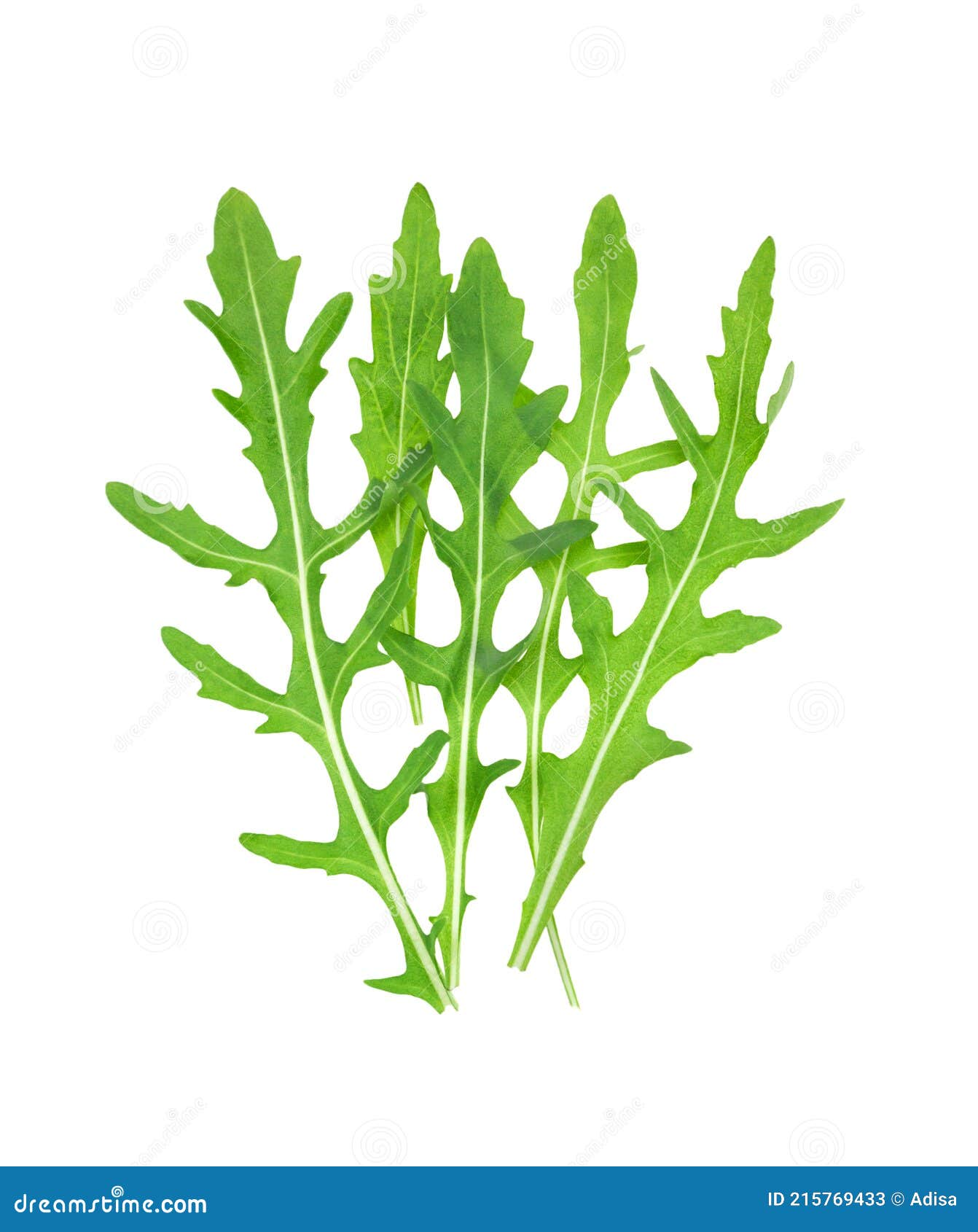 Ruccola imagen de archivo. Imagen de ensalada, hojas - 215769433