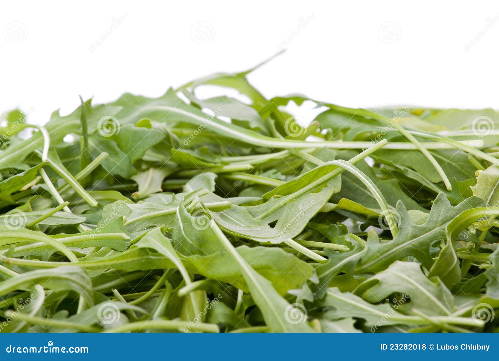 Ruccola Salad Fresh Heap Leaf Stock Photo - Image of horizontal ...