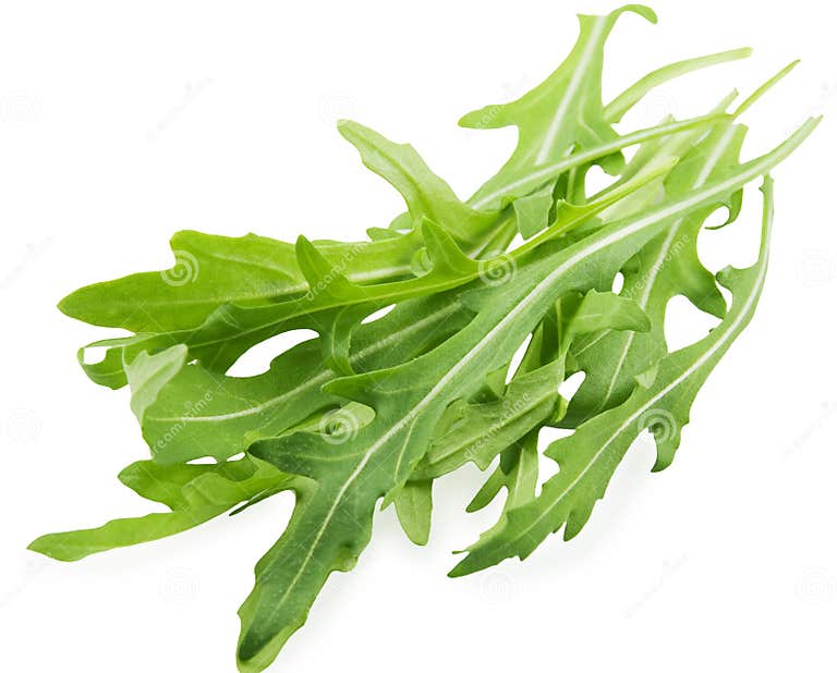 Rucola stock photo. Image of organic, plant, snack, eating - 13568998
