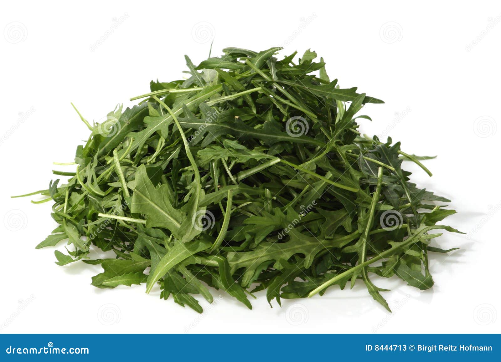 Rucola stockbild. Bild von nahrhaft, nahrung, eisen, grün - 8444713