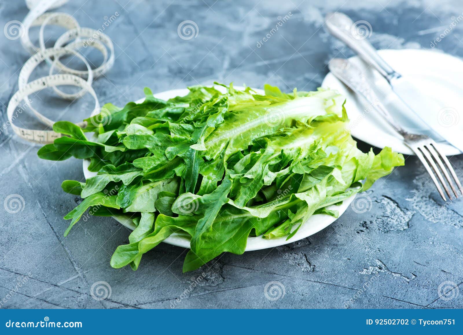Rucola stock photo. Image of pure, rucola, closeup, fresh - 92502702