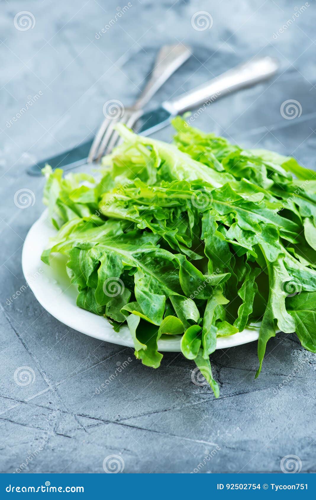 Rucola stock photo. Image of rocket, heap, diet, food - 92502754