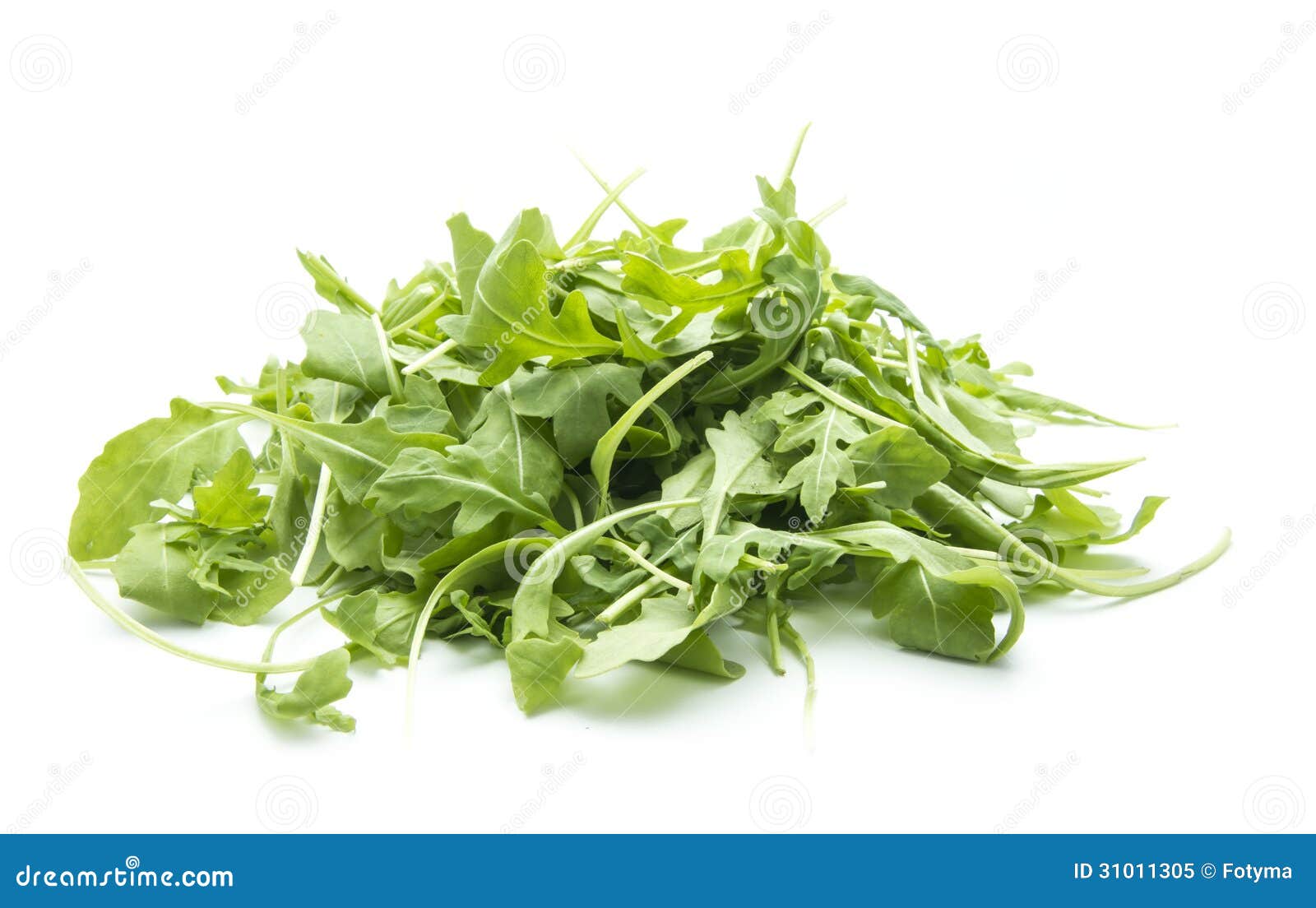 Rucola stock image. Image of fresh, lettuce, rukola, ruccola - 31011305