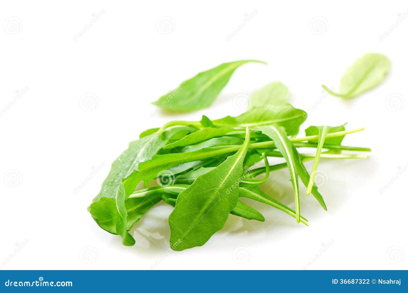 Rucola (rocket) stock photo. Image of nature, detail - 36687322