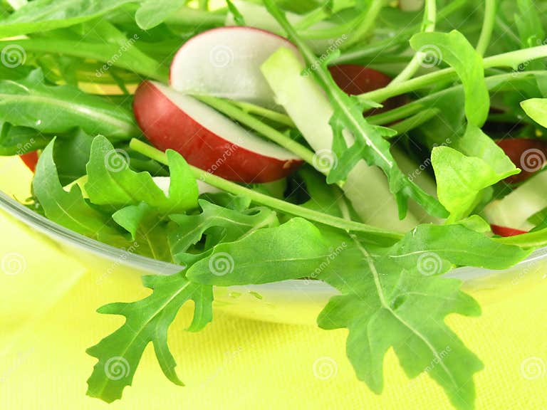 Rucola salad stock photo. Image of rucola, food, italy - 764706