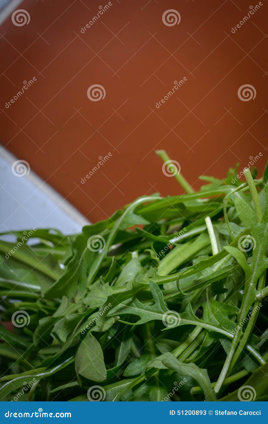 Rucola stock image. Image of herb, fresh, healthy, rucola - 51200893