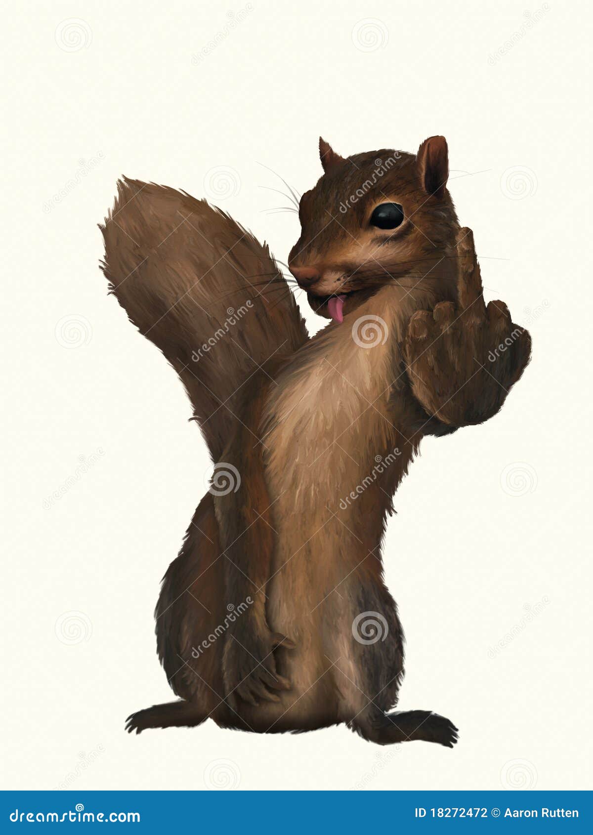Rude Squirrel stock illustration. Illustration of gray - 18272472