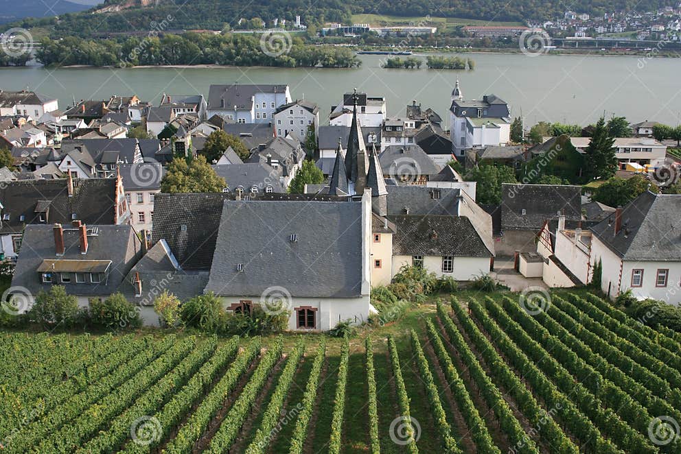 Rudesheim stock photo. Image of country, green, town, rural - 3160124