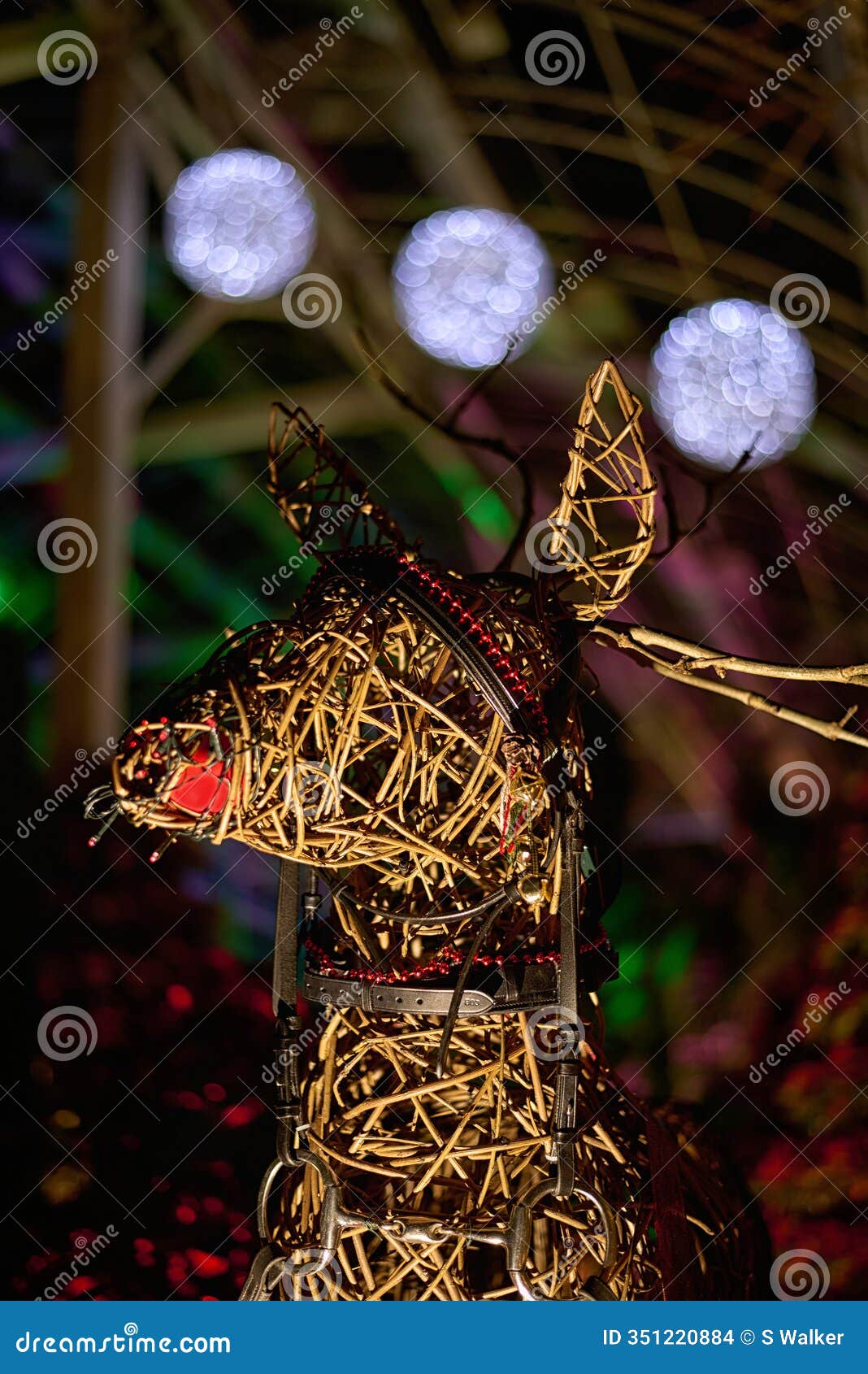 Rudolph Red Nosed Reindeer Christmas Light Display Stock Photo ...