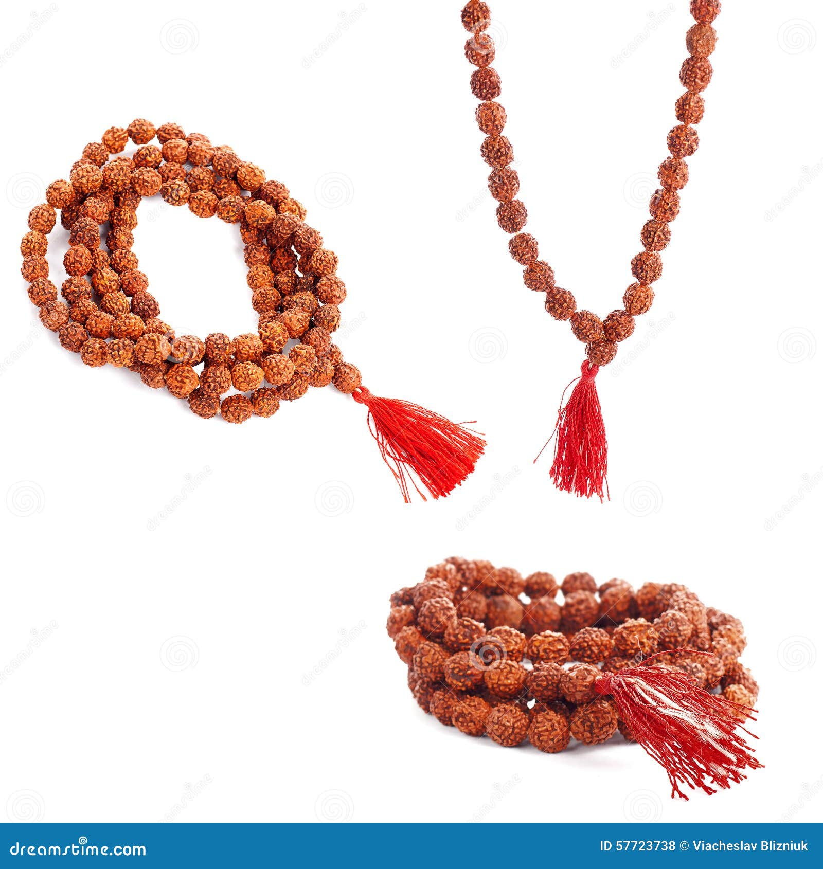 Rudraksharozentuin in Een Vrouwelijke Hand Japa Mala Stock Foto - Image ...