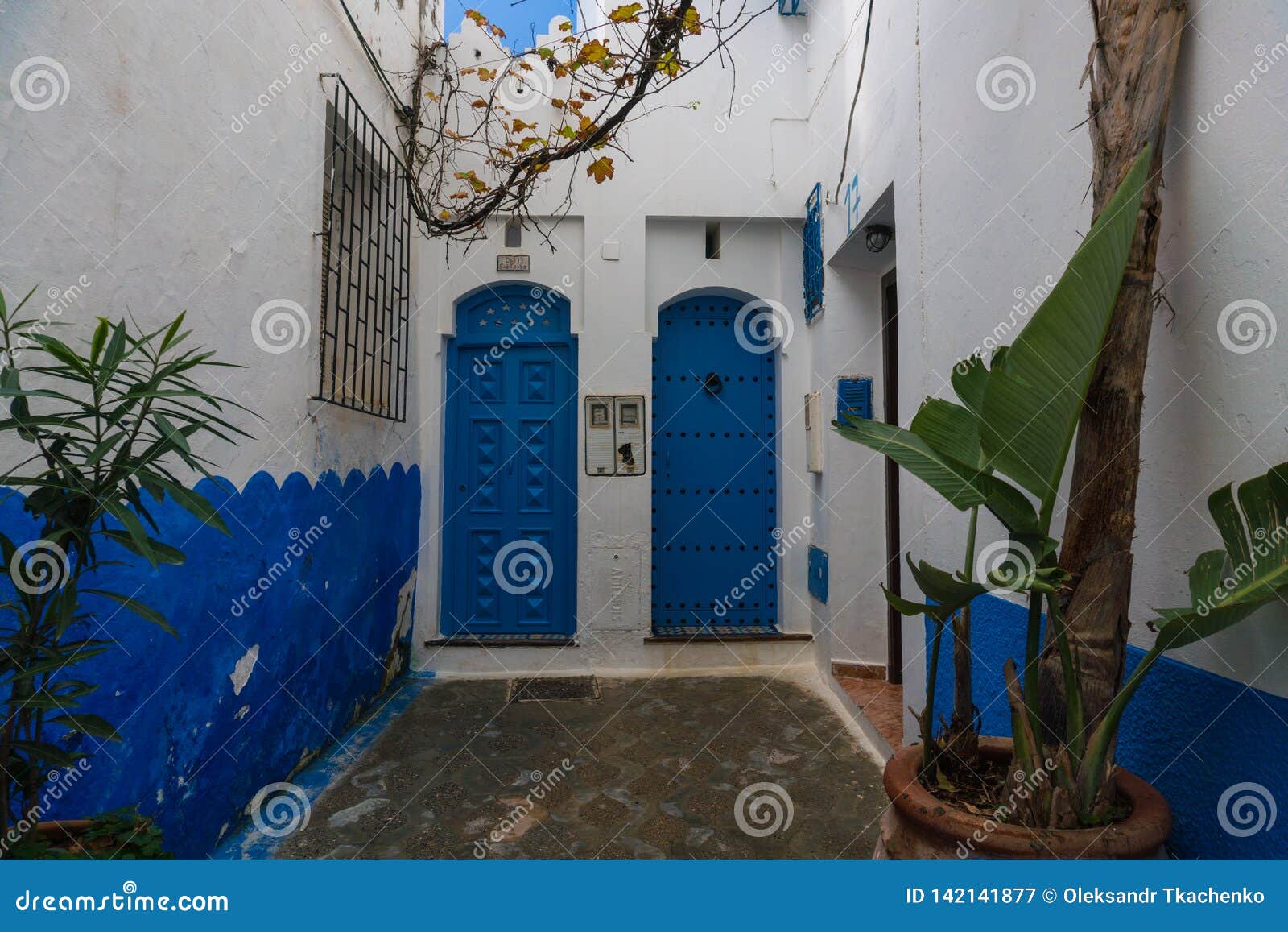 Rue Bleue Et Blanche D'Asilah Au Maroc Image stock - Image du peint ...