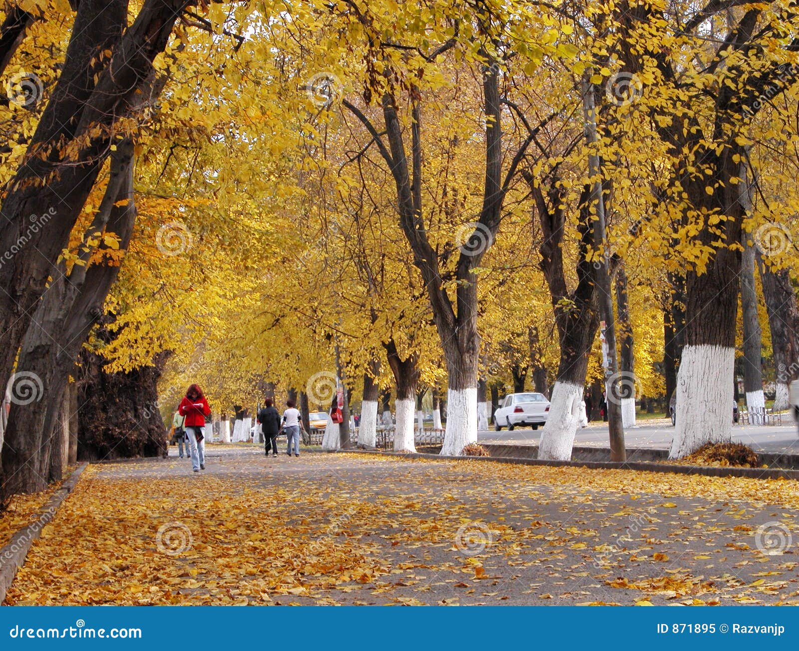 Rue de ville d'automne image stock. Image du saison, stationnement - 871895