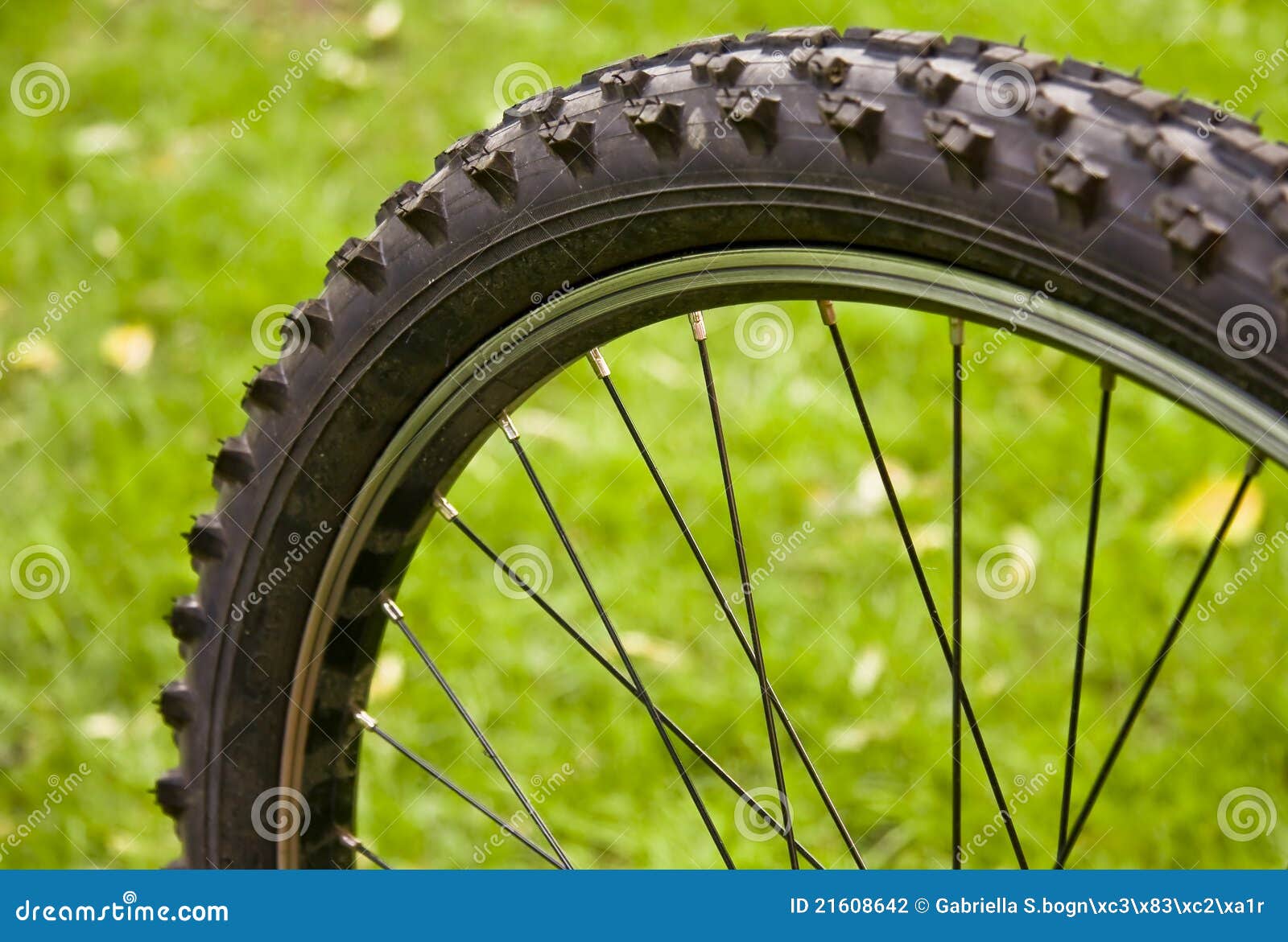 Rueda de bicicleta foto de archivo. Imagen de primer - 21608642