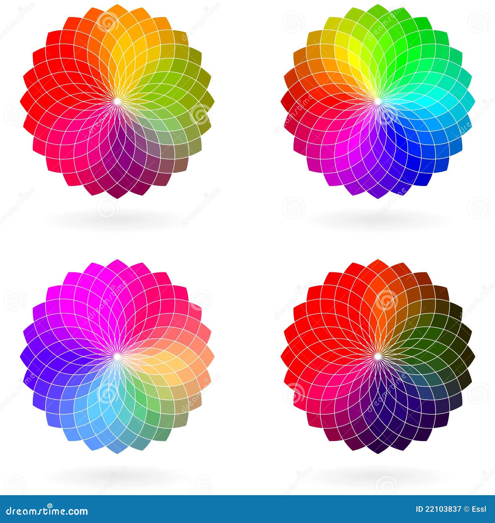 Rueda De La Flor Del Color, Conjunto Ilustración del Vector ...