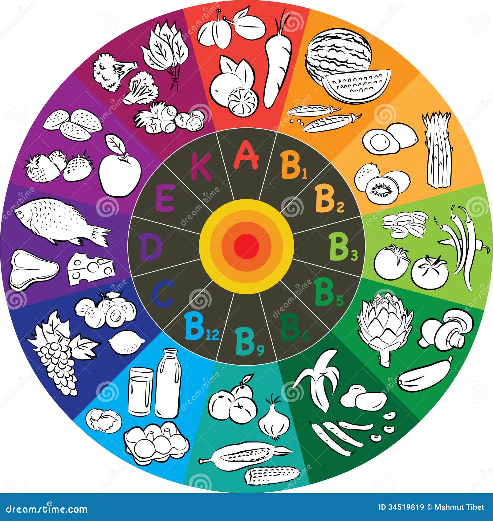 Rueda de la vitamina ilustración del vector. Ilustración de ...