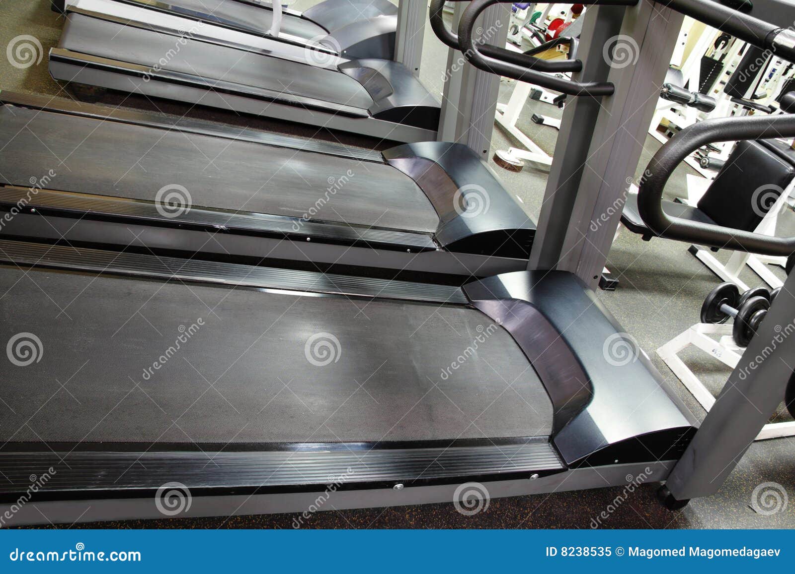 Ruedas De Ardilla En Una Fila Imagen de archivo - Imagen de treadmills ...