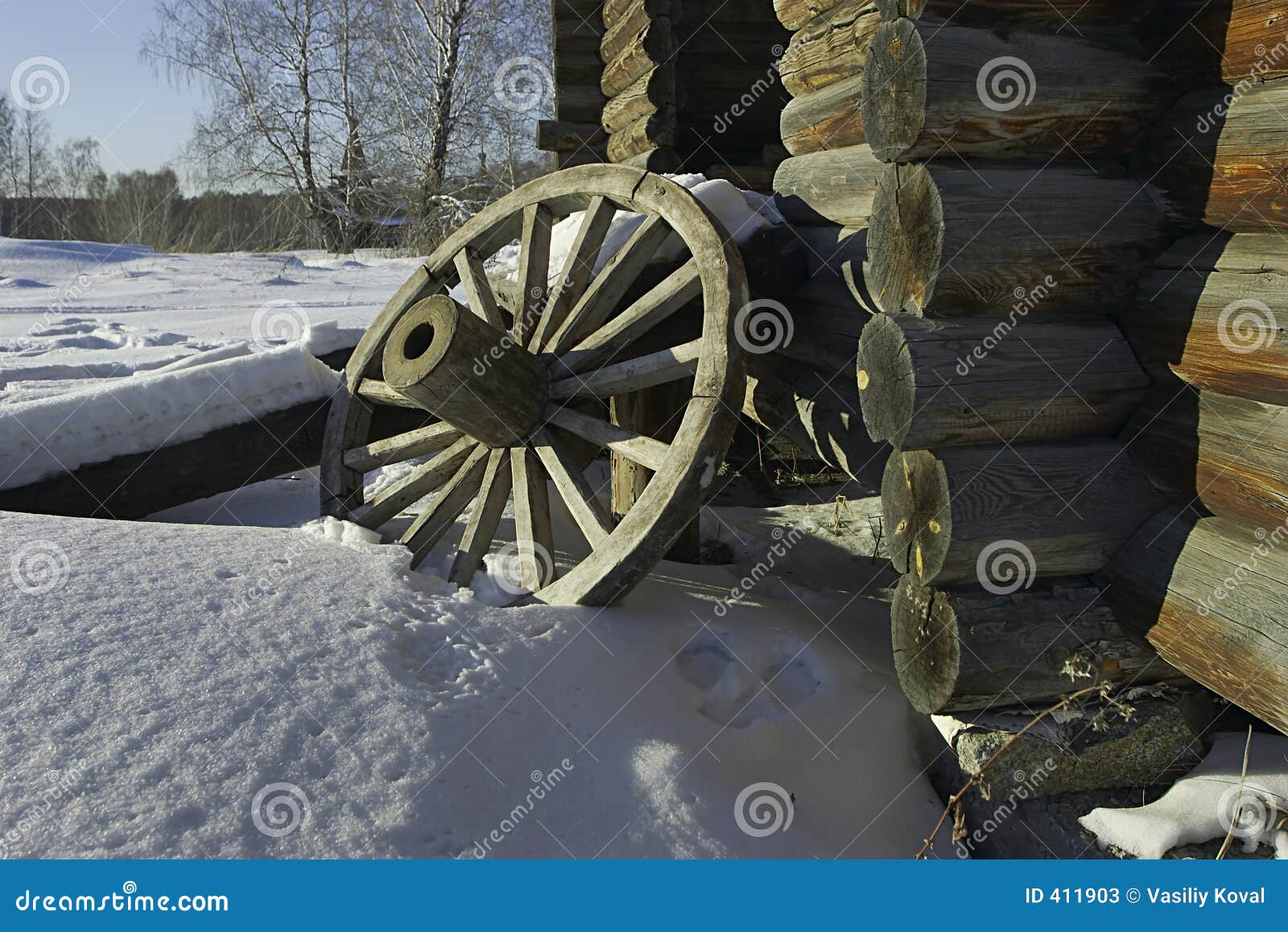 Ruede adentro la nieve imagen de archivo. Imagen de sombra - 411903