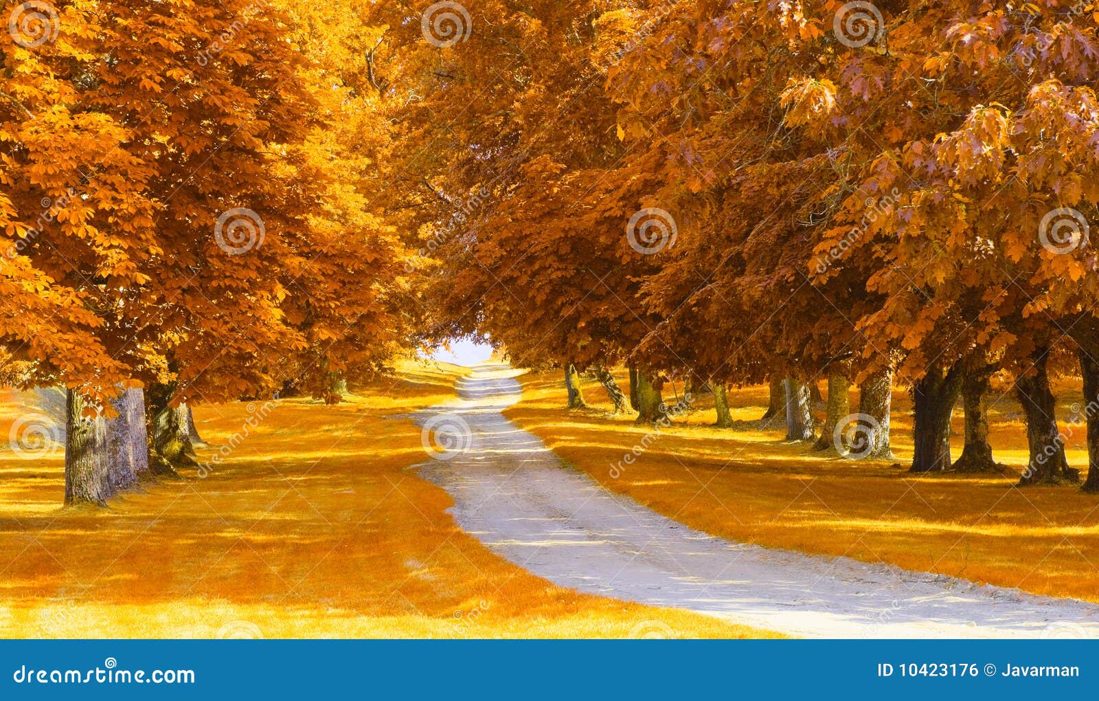 Ruelle automnale photo stock. Image du pays, campagne - 10423176